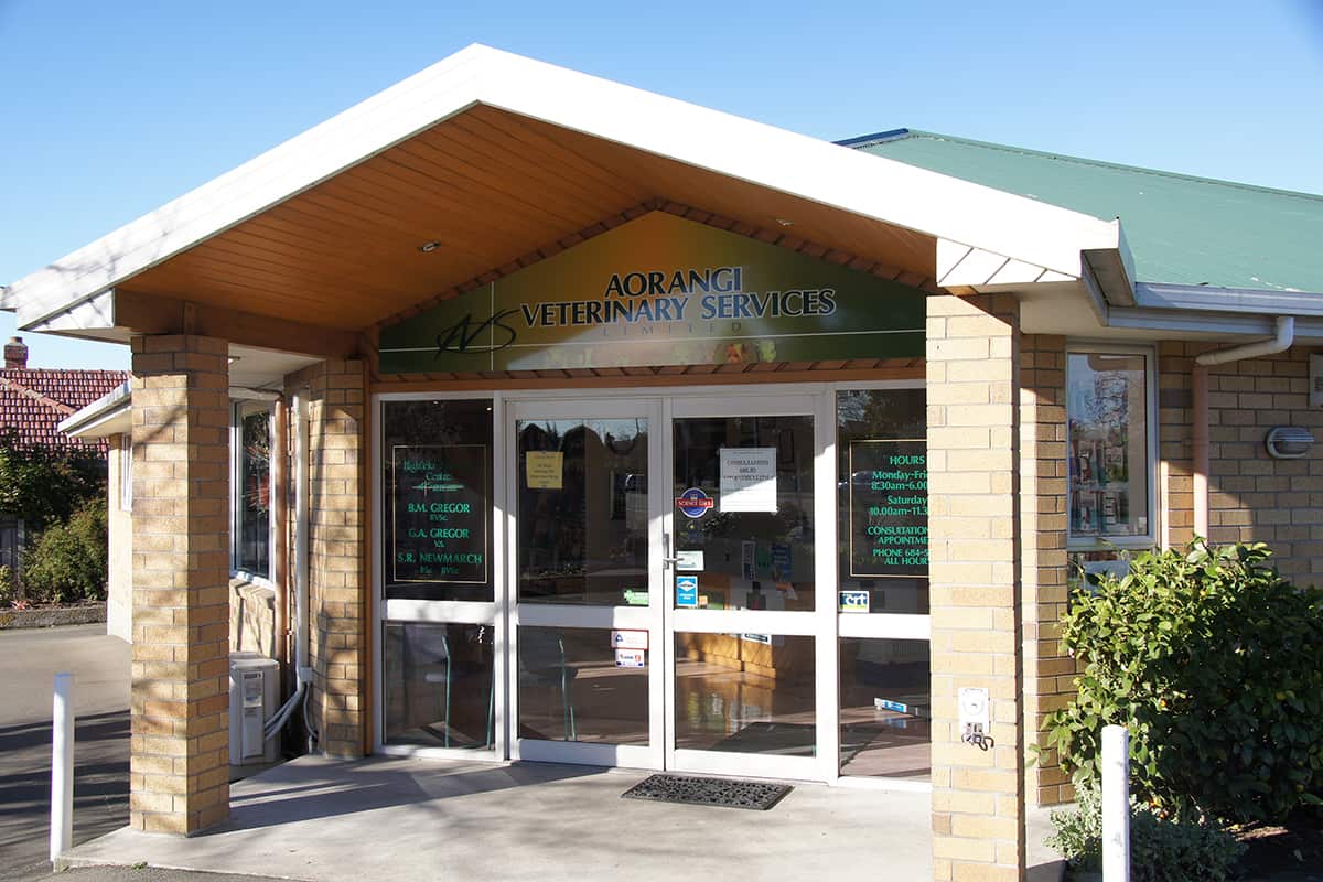 Highfield Timaru Clinic - Aorangi Vet Services