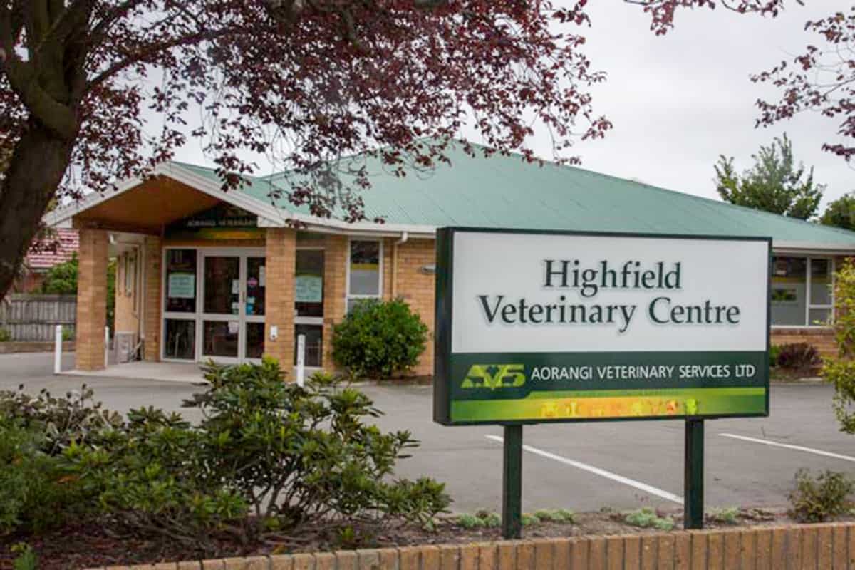 Highfield Timaru Clinic - Aorangi Vet Services