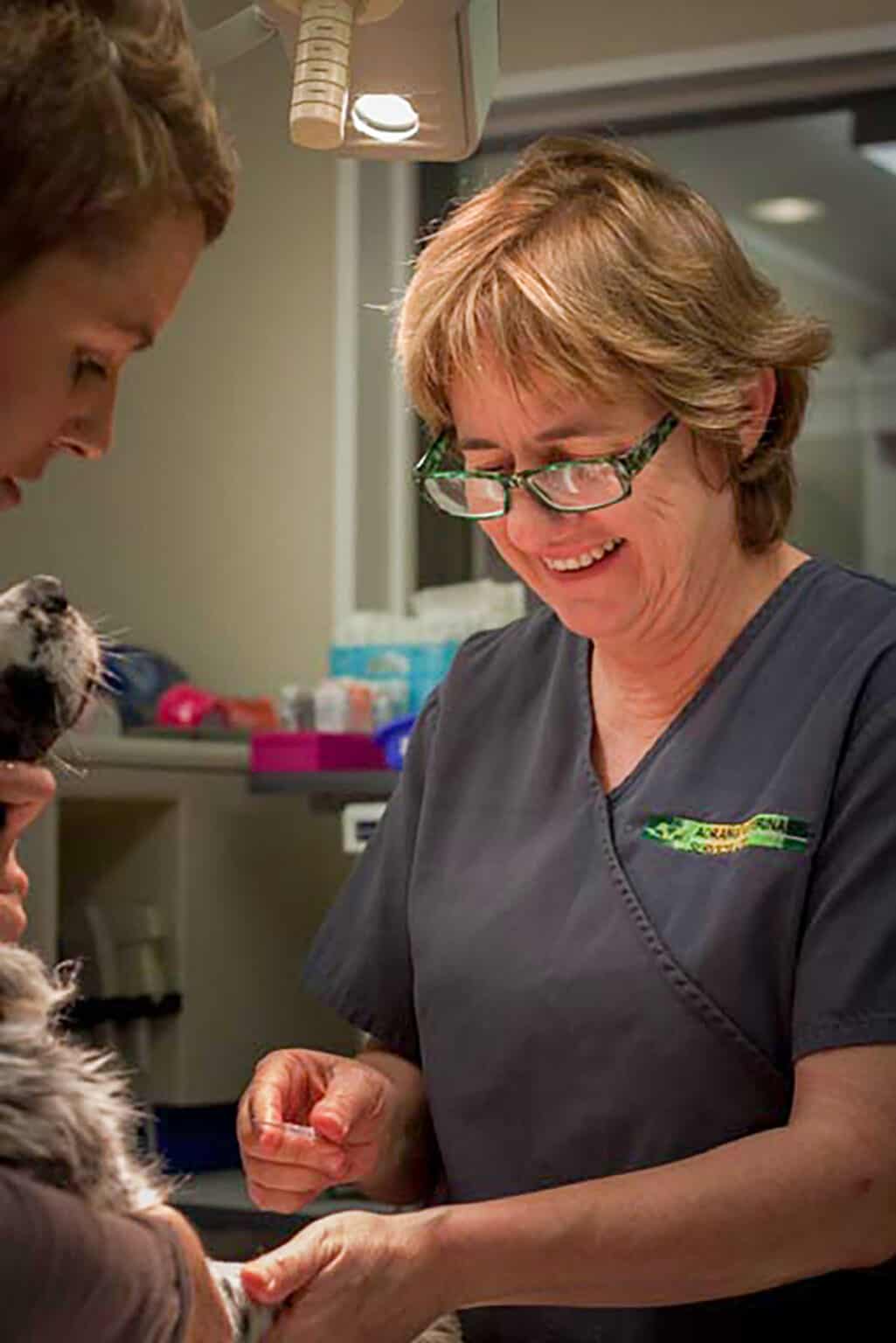 Highfield Timaru Clinic - Aorangi Vet Services